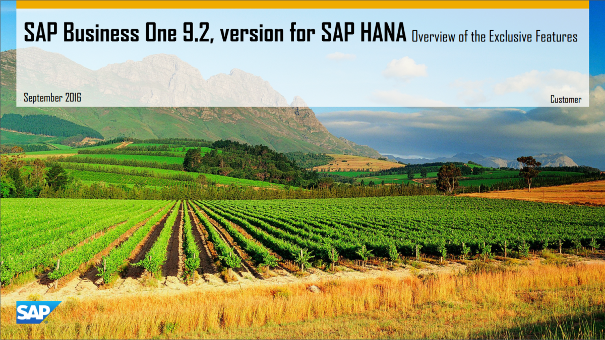 Sap B1 Mtc Systems